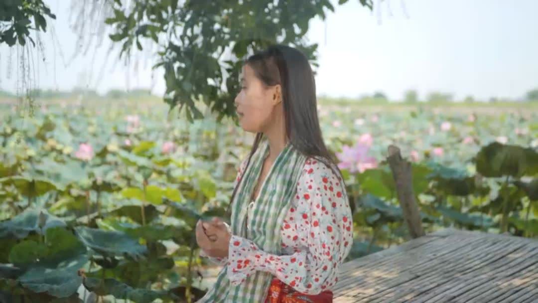 បានឡានភ្លេចក្របី / 𝐵𝑒𝑒 𝐸𝑚𝑚 - TNAOT