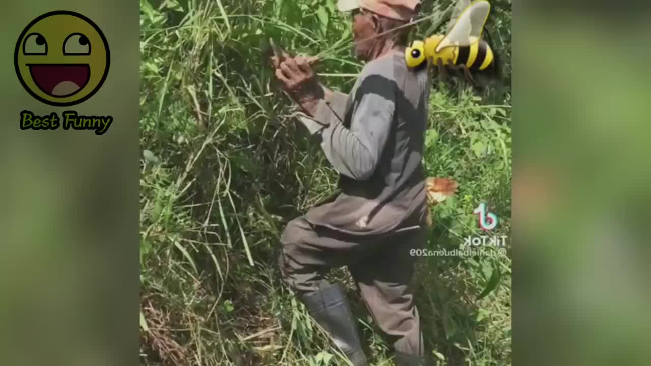 Best Funny😂😂 - TNAOT