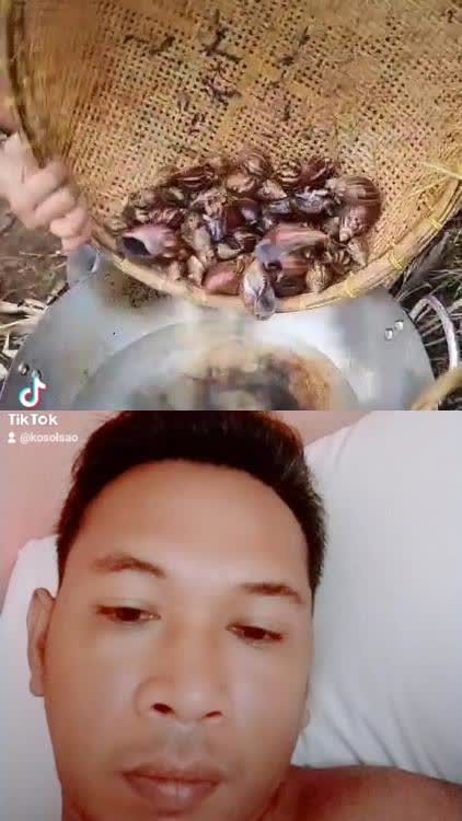 ខ្យងគេាក - TNAOT