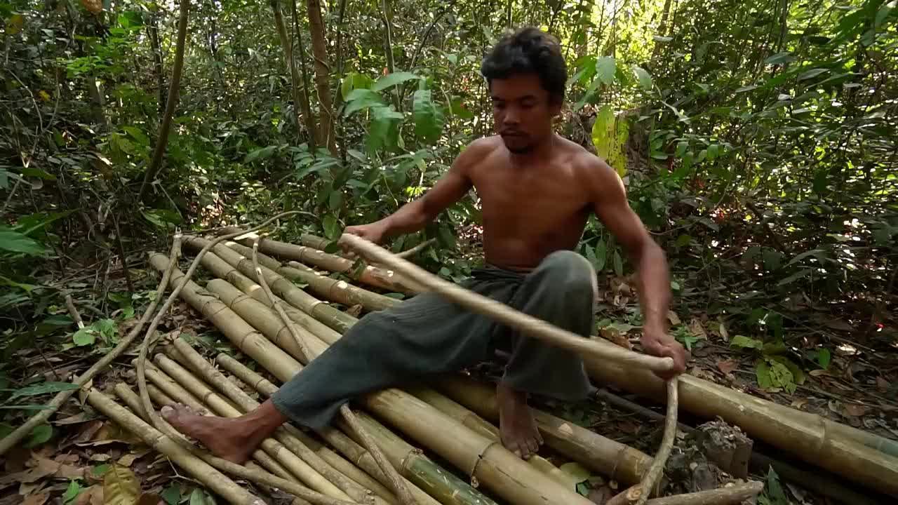 សាងសង់ផ្ទះដើមឈើសំបុកសត្វស្លាប ដើម្បីស្នាក់នៅក្នុងព្រៃ - TNAOT