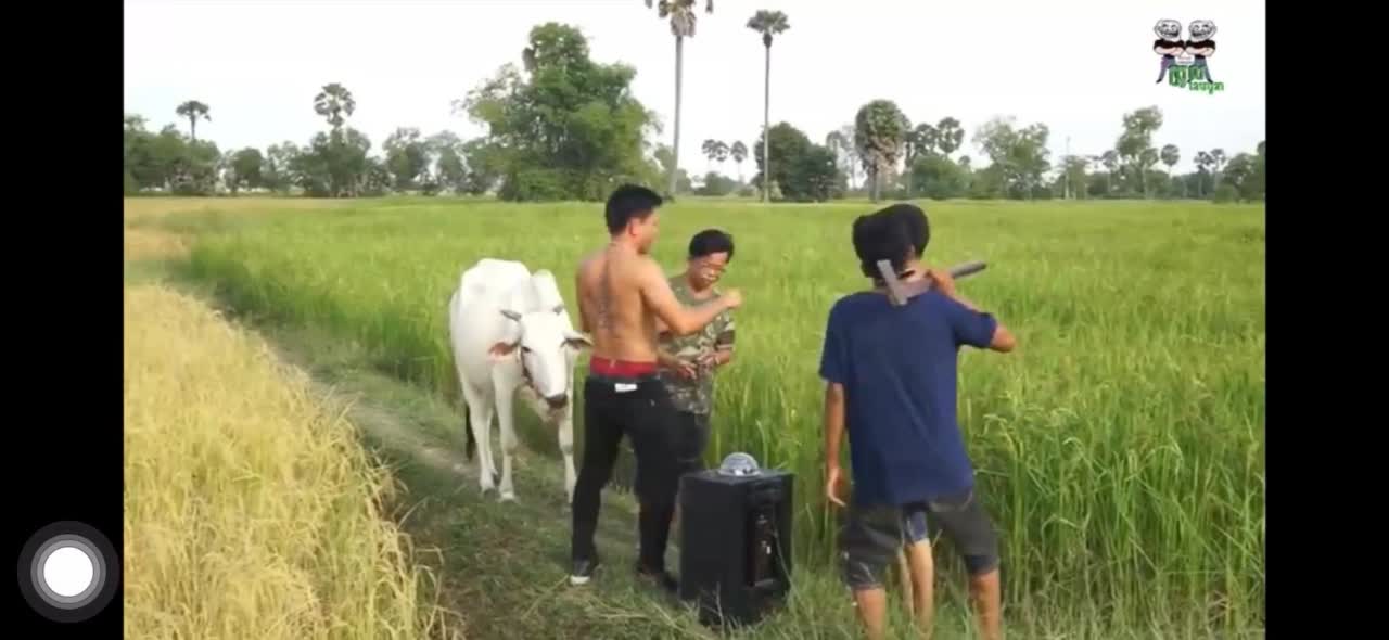 រឿង ឪអារន្ទះបាញ់កាប់អតមុត ភាគ៦ Funny video clips 😂😂 - TNAOT