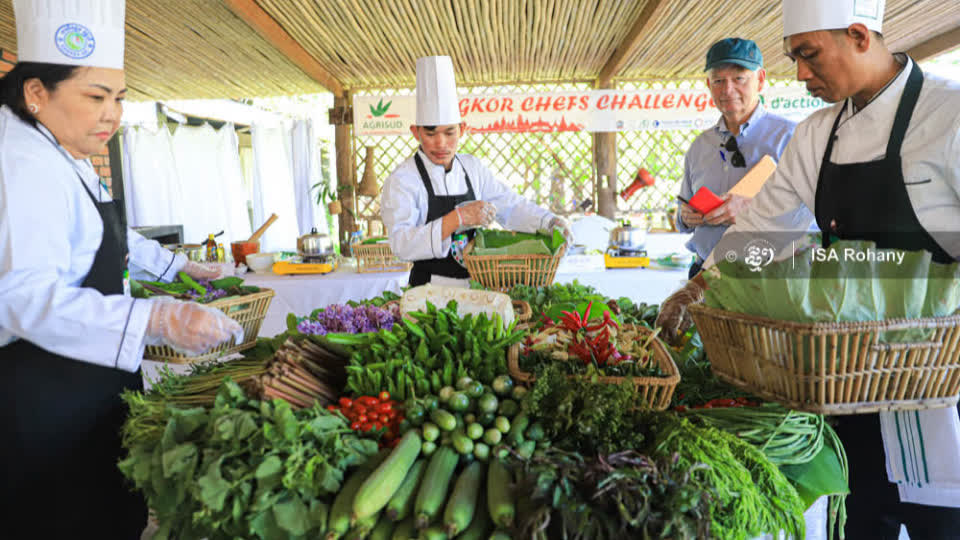 អាគ្រីស៊ុត និងម្ចាស់ជំនួយ បន្តគាំទ្រកសិករខ្មែរក្នុងការបង្កើនការដាំដុះបន្លែសុវត្ថិភាព - TNAOT