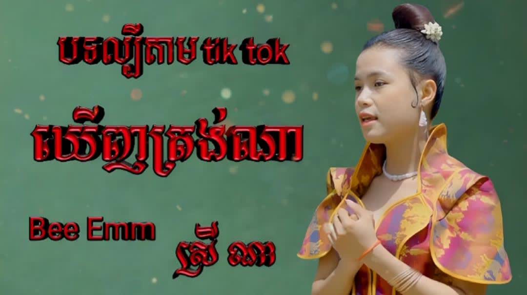 ពិរោះណាស់ .ឃើញត្រង់ណា ត្រង់ណាថាចាស់ .Bee Emm - TNAOT