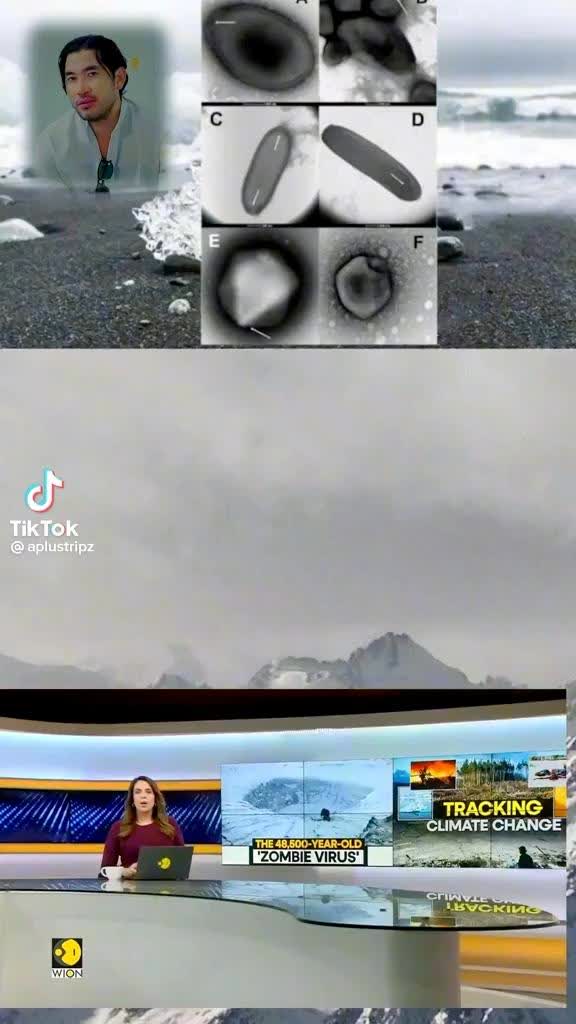 មេរោគ សូមប៊ី - TNAOT