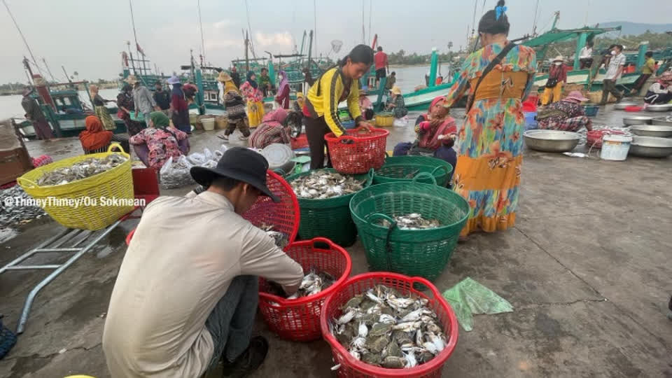 ADB អនុម័តកញ្ចប់ថវិកា៧៣លានដុល្លារដល់កម្ពុជា ដើម្បីនិរន្តរភាពនៃវិស័យជលផល សមុទ្រ - TNAOT