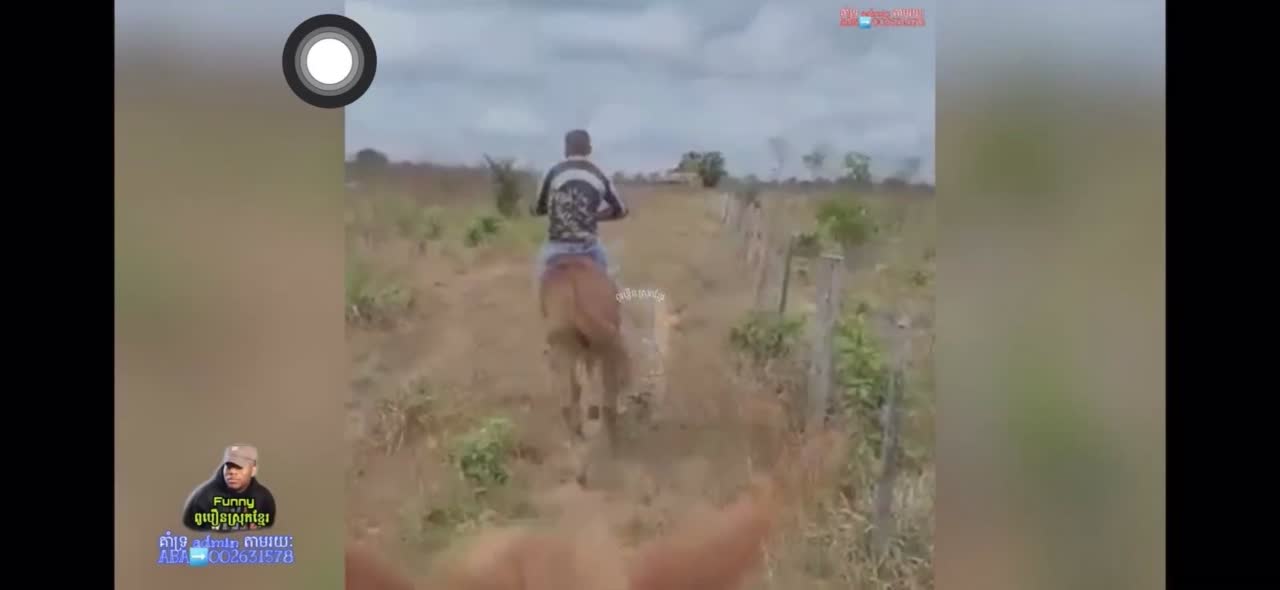 Funny video 😂🤣 - TNAOT